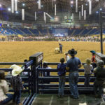 Gallery | National Western Complex